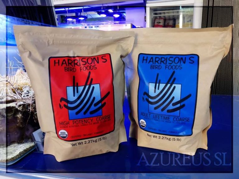 Porque la calidad del pienso Harrison's se nota :) - Azureus
